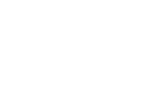 Minneapolis logo